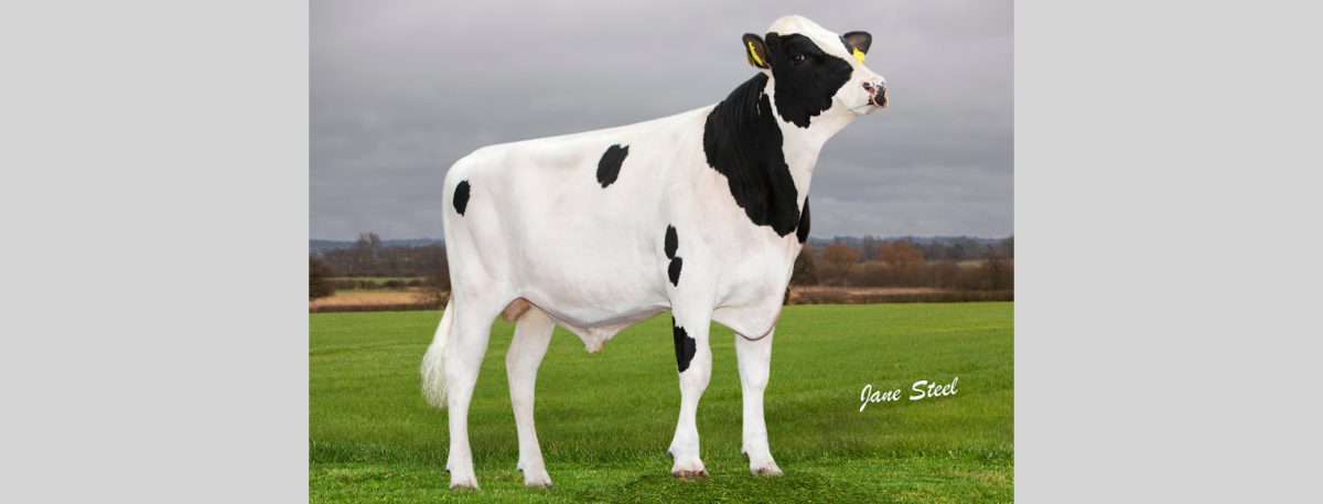 High Component Genetics impress at Cogent - Cogent UK